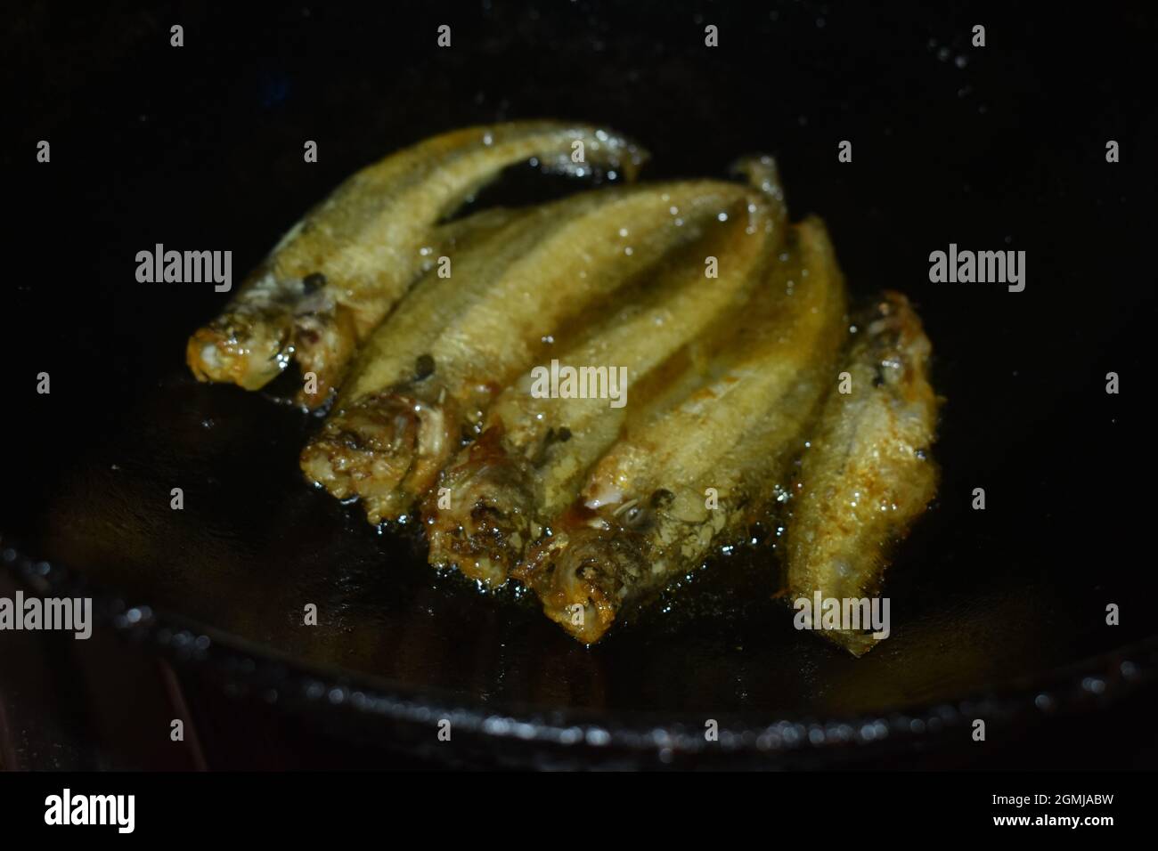 Pabda fish hi-res stock photography and images - Alamy
