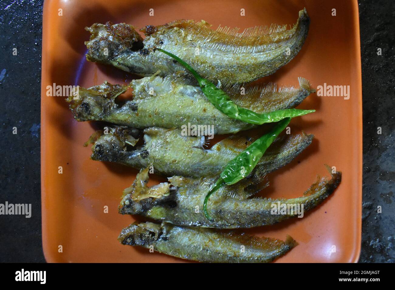 Pabda fish hi-res stock photography and images - Alamy