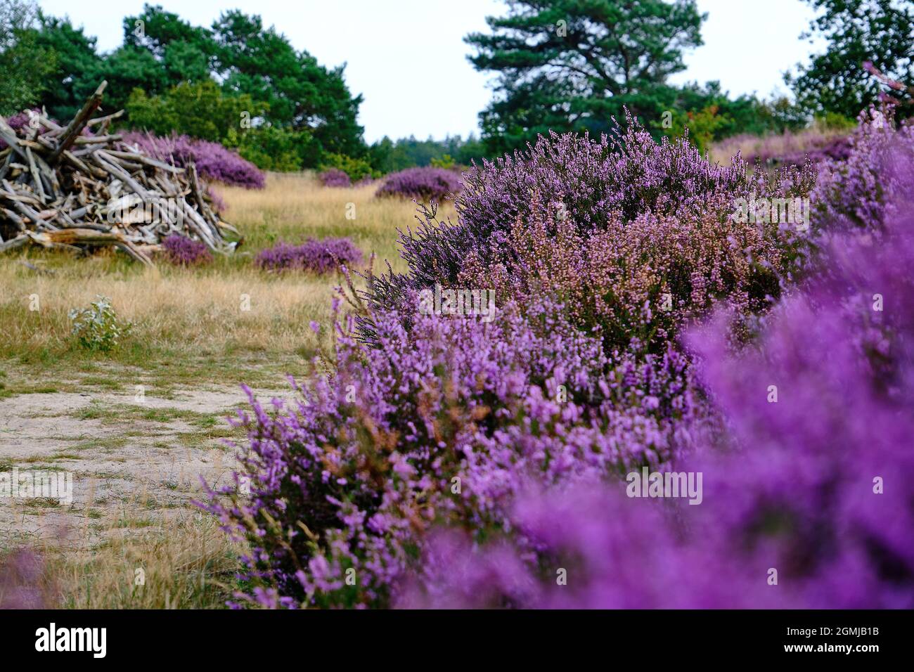 Utrecht ridge hi-res stock photography and images - Alamy