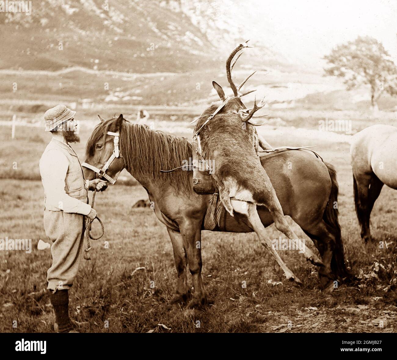Stag hunting in Scotland, Victorian period Stock Photo - Alamy