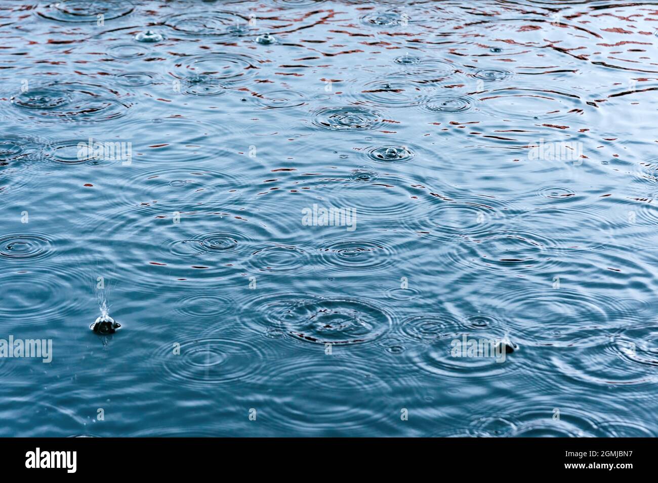 rain drops on the surface of water in a puddle with graduated shade of ...