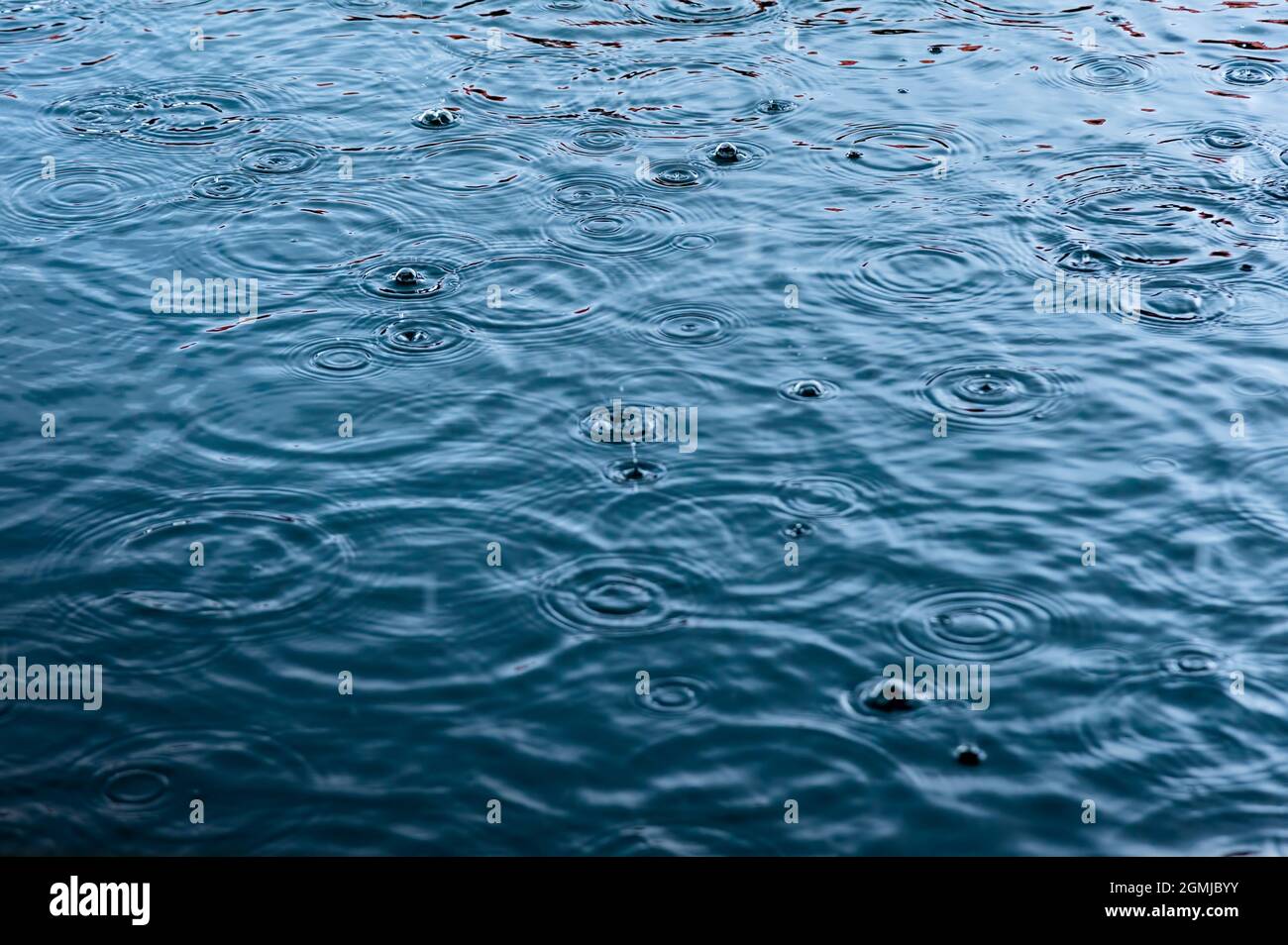 rain drops on the surface of water in a puddle with graduated shade of ...