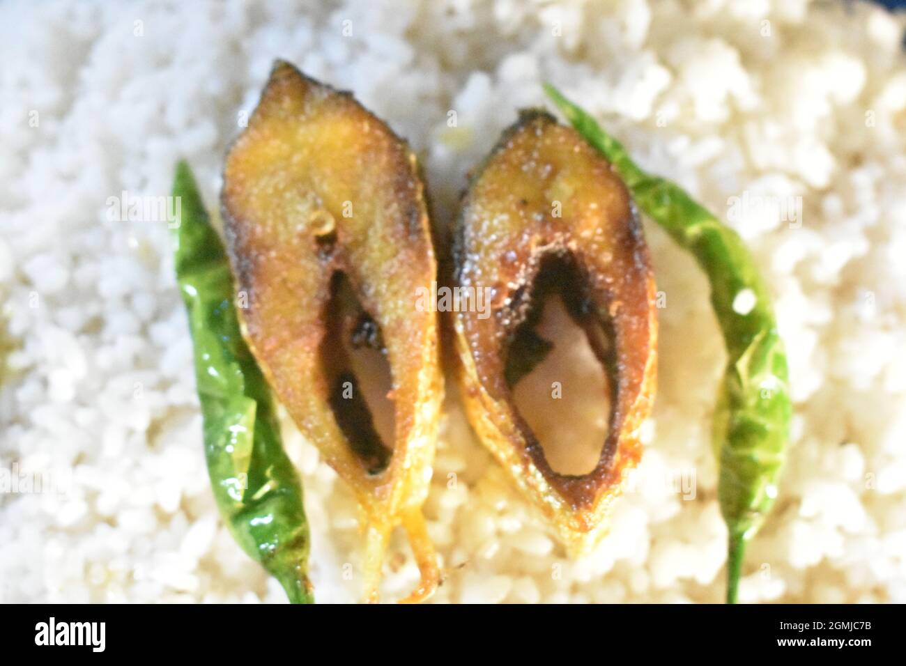 Slice Of Fishes High Resolution Stock Photography and Images - Alamy