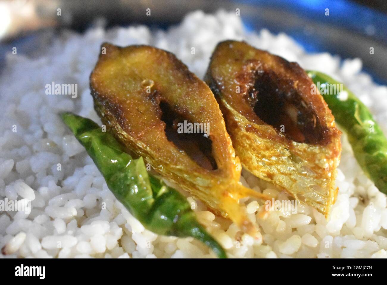 Hilsa fish hi-res stock photography and images - Alamy