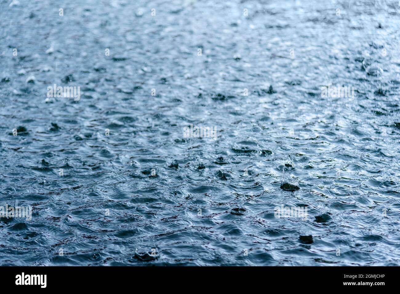 rain drops on the surface of water in a puddle with graduated shade of ...