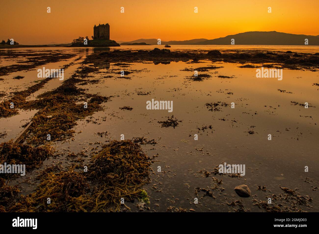 Castle Stalker susnet in Appin, Scotland Stock Photo - Alamy