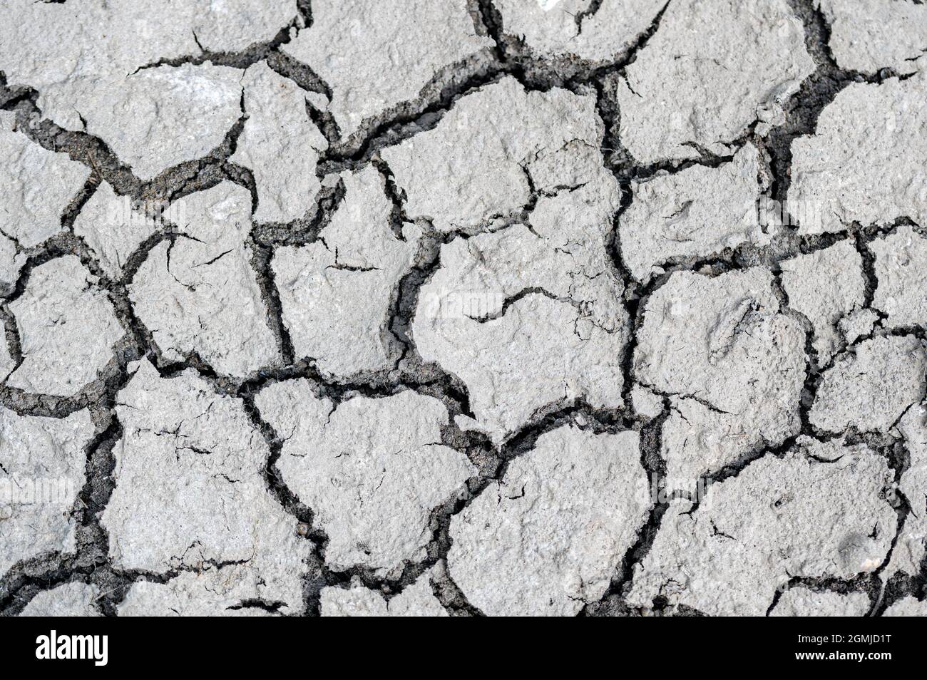 Dry cracked ground Stock Photo - Alamy