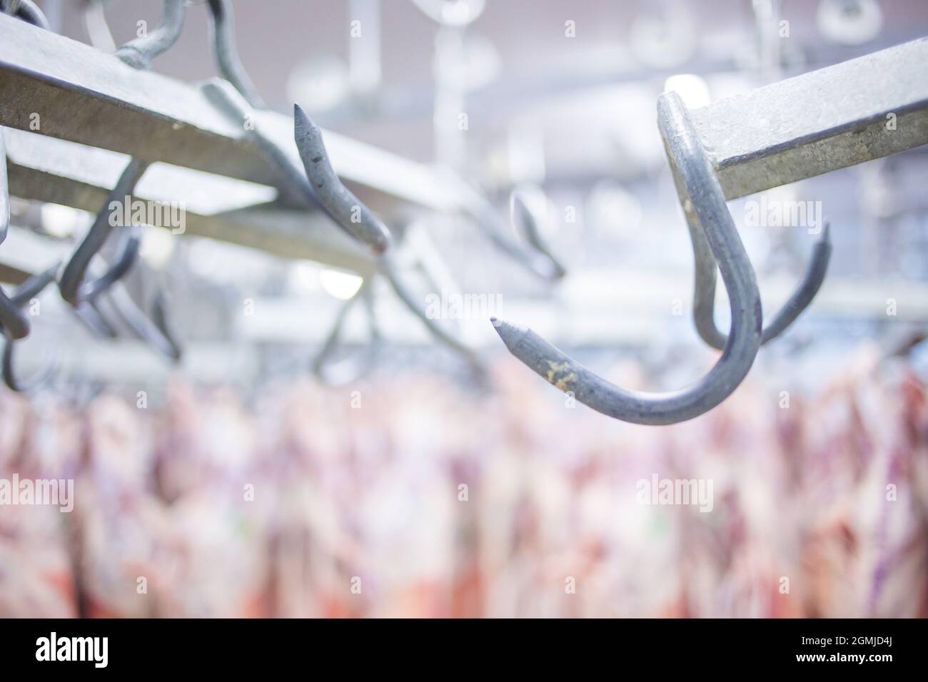 Rib storage hi-res stock photography and images - Alamy