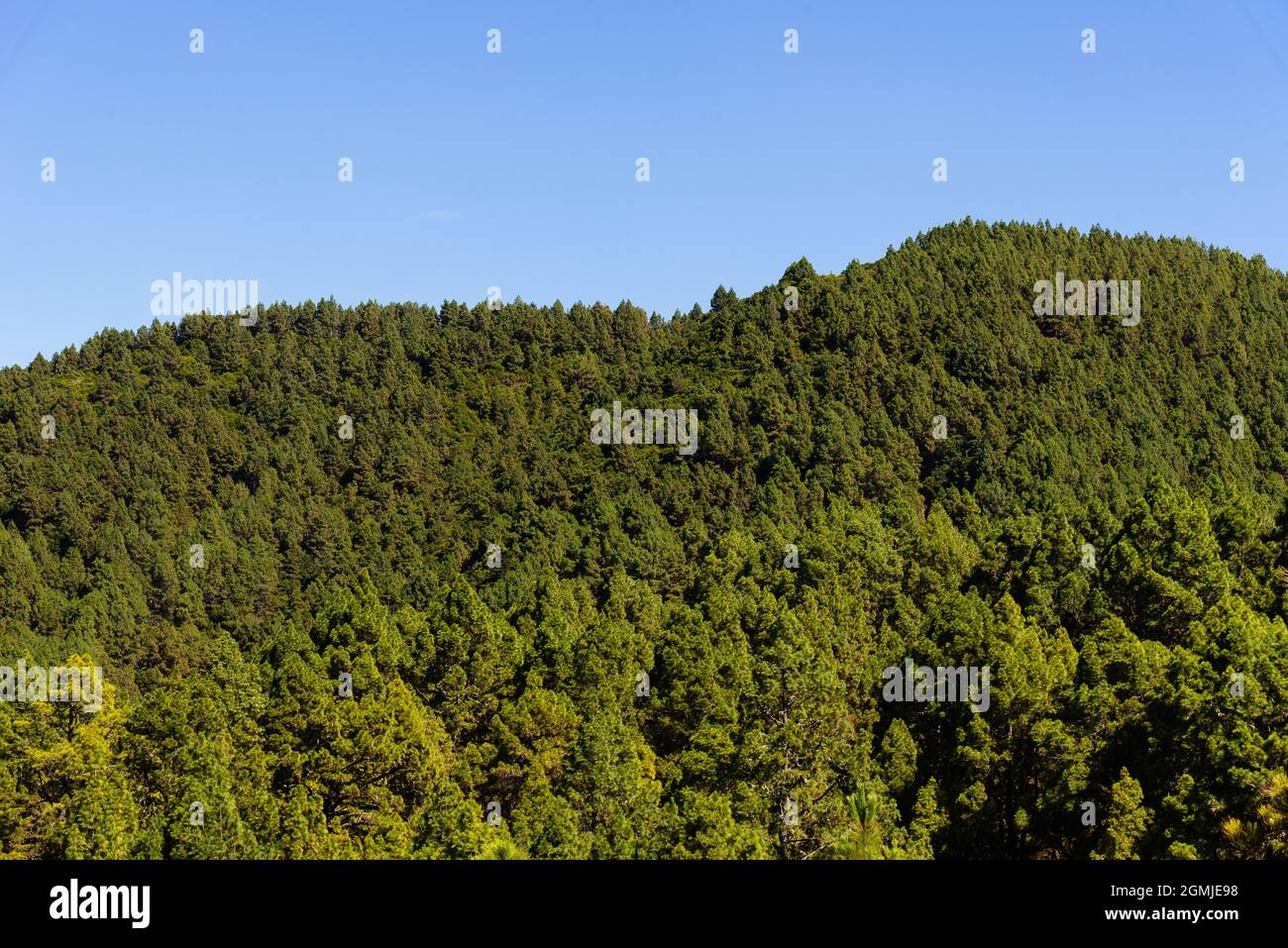 National Park of Caldera de Taburiente from Llano del Jable ...