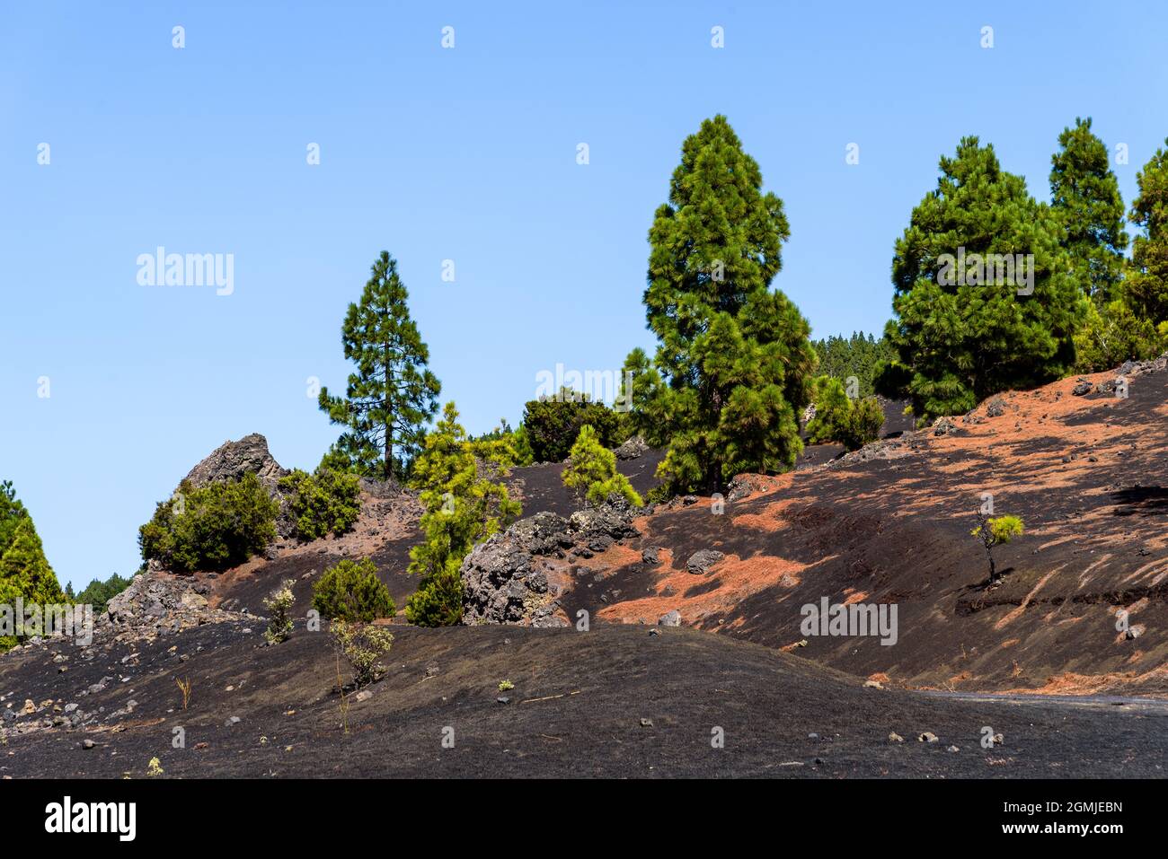 National Park of Caldera de Taburiente from Llano del Jable ...