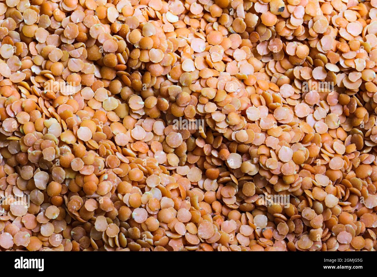 Yellow lentils, detail texture background, closeup of lentils ...