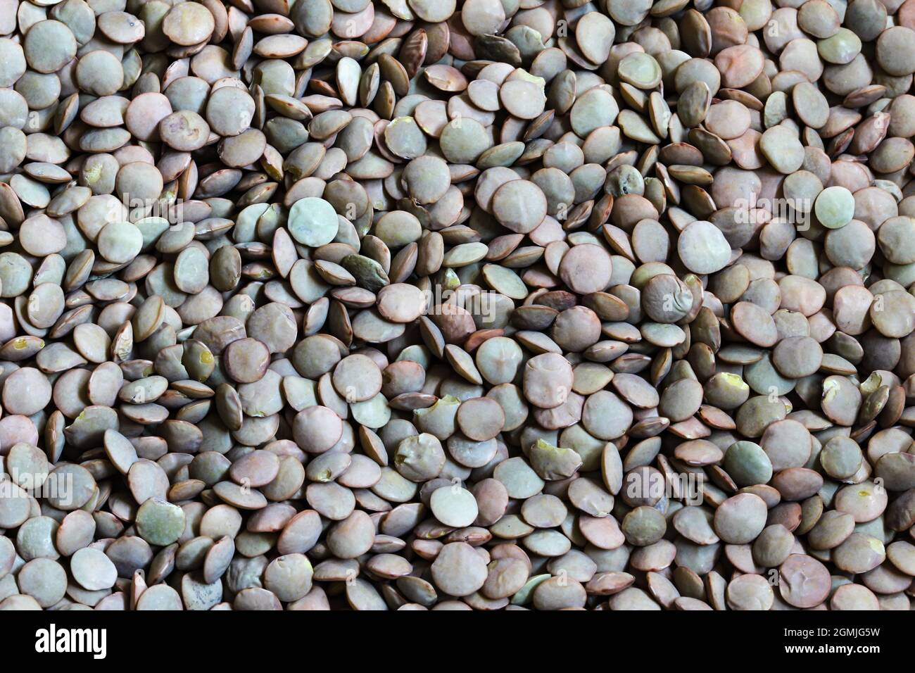 Green lentils, detail texture background, closeup of lentils background ...