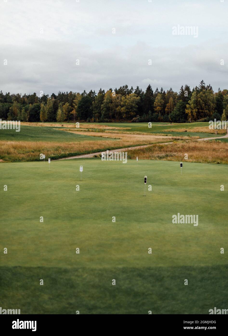 Swedish golf course at the end of the summer Stock Photo - Alamy