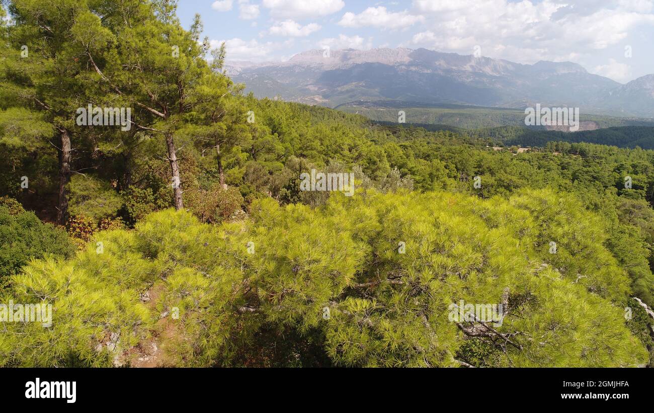 Amazing view from the magnificent walls of Tazi Canyon Stock Photo - Alamy