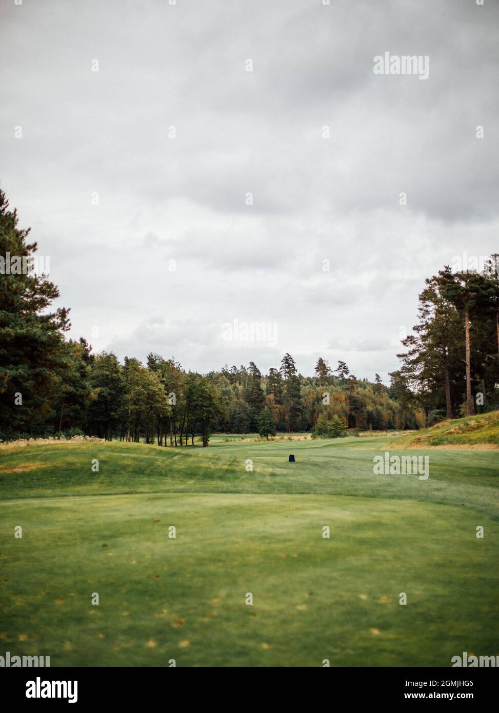 Swedish golf hi-res stock photography and images - Alamy