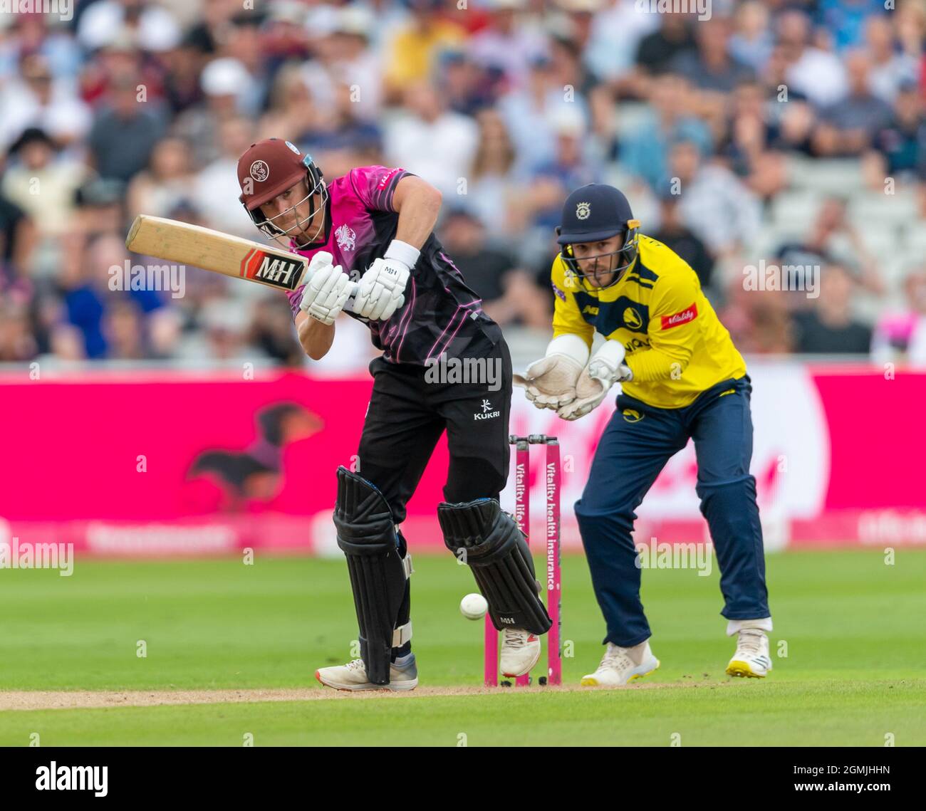 Cricket tom abell hi-res stock photography and images - Alamy