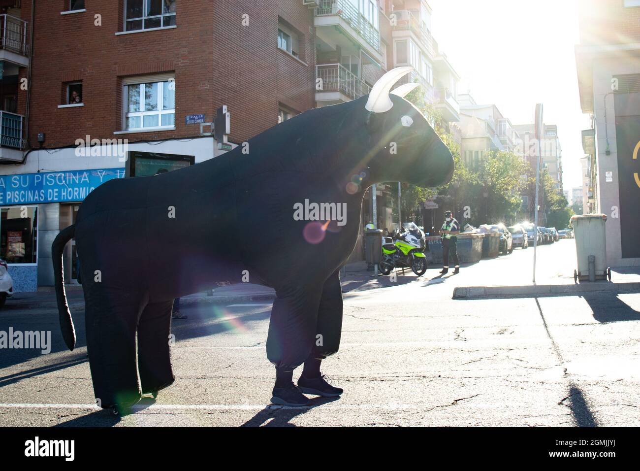 Bullfig hi-res stock photography and images - Alamy