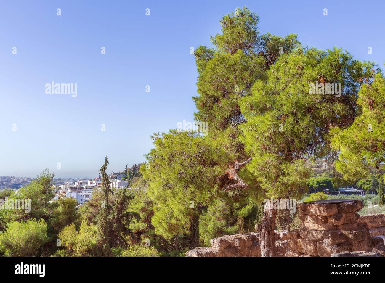 Athens, Greece view from Acropolis, pine trees and old ruins Stock ...