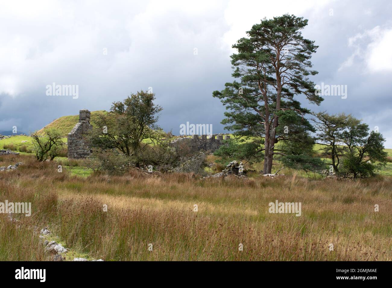 Mur fort hi-res stock photography and images - Alamy