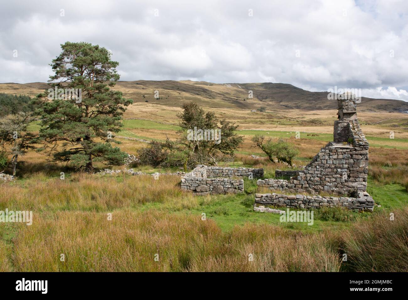 Tomen y Mur site of a Roman Fort in Snowdonia Stock Photo - Alamy