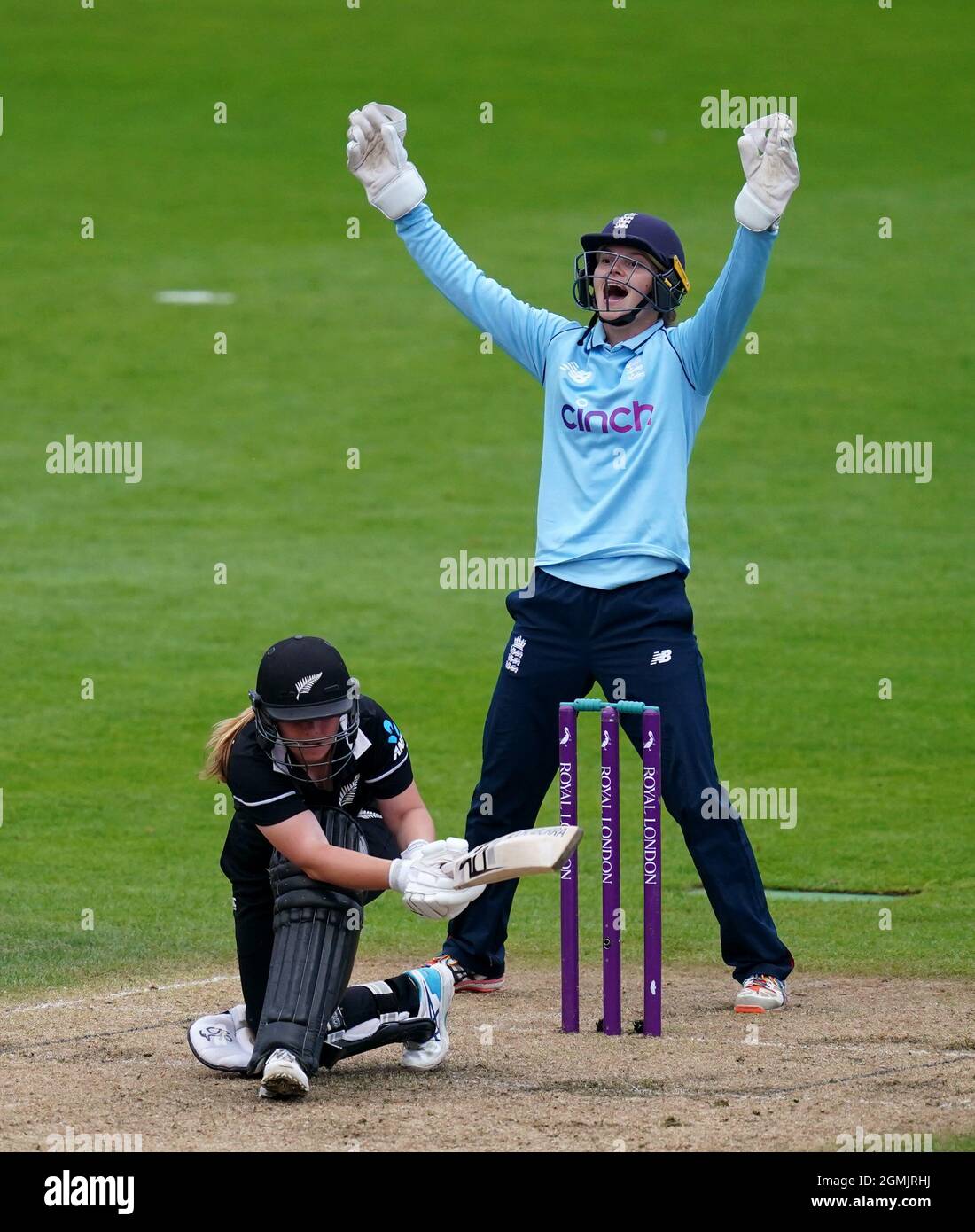 Cricket leigh hi-res stock photography and images - Alamy