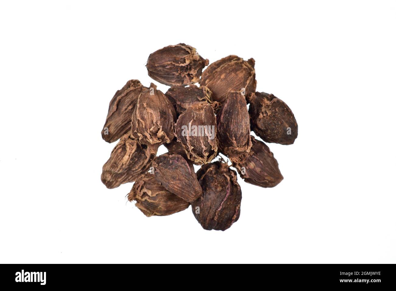 Black Cardamom Isolated on White Background with Clipping Path Stock ...