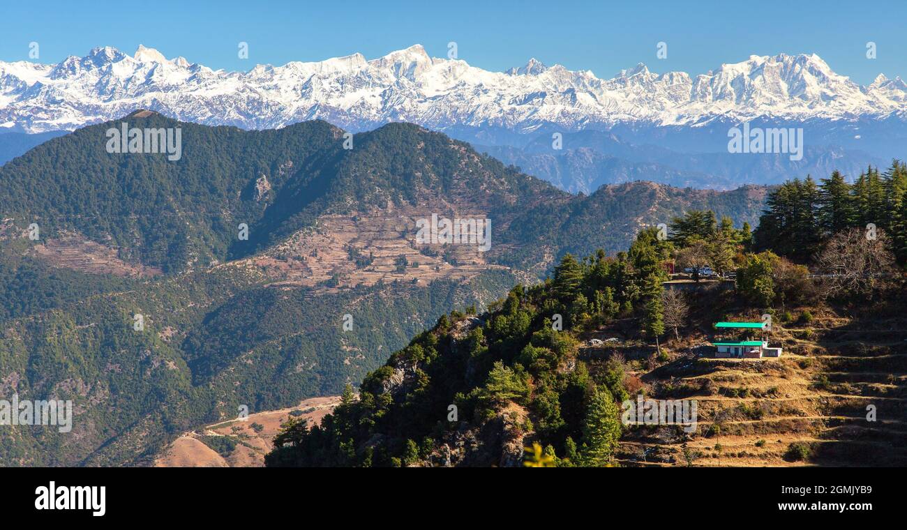 Mount Chaukhamba and woodland, Himalaya, panoramic view of Indian Himalayas mountains, great ...