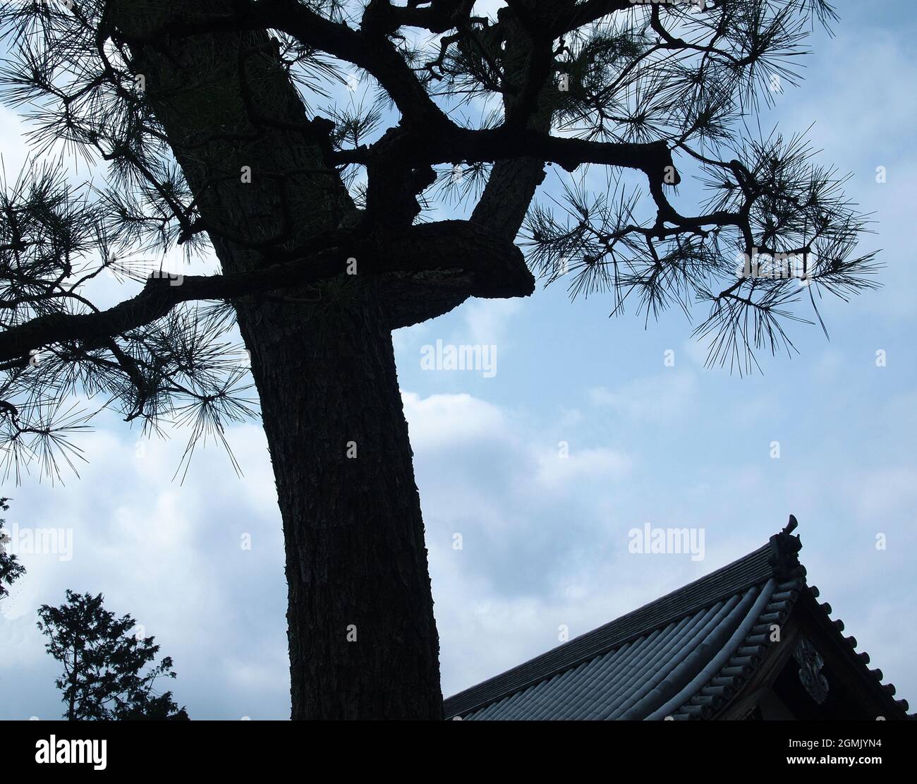 Spring sunset in Kyoto Stock Photo - Alamy
