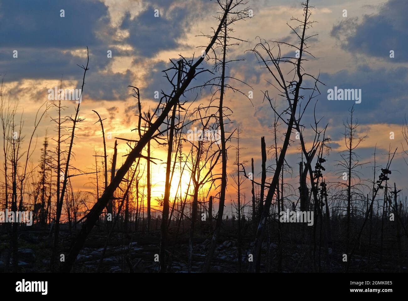 Sunset Through a Fire Devastated Landscape on Alpine Lake in the ...