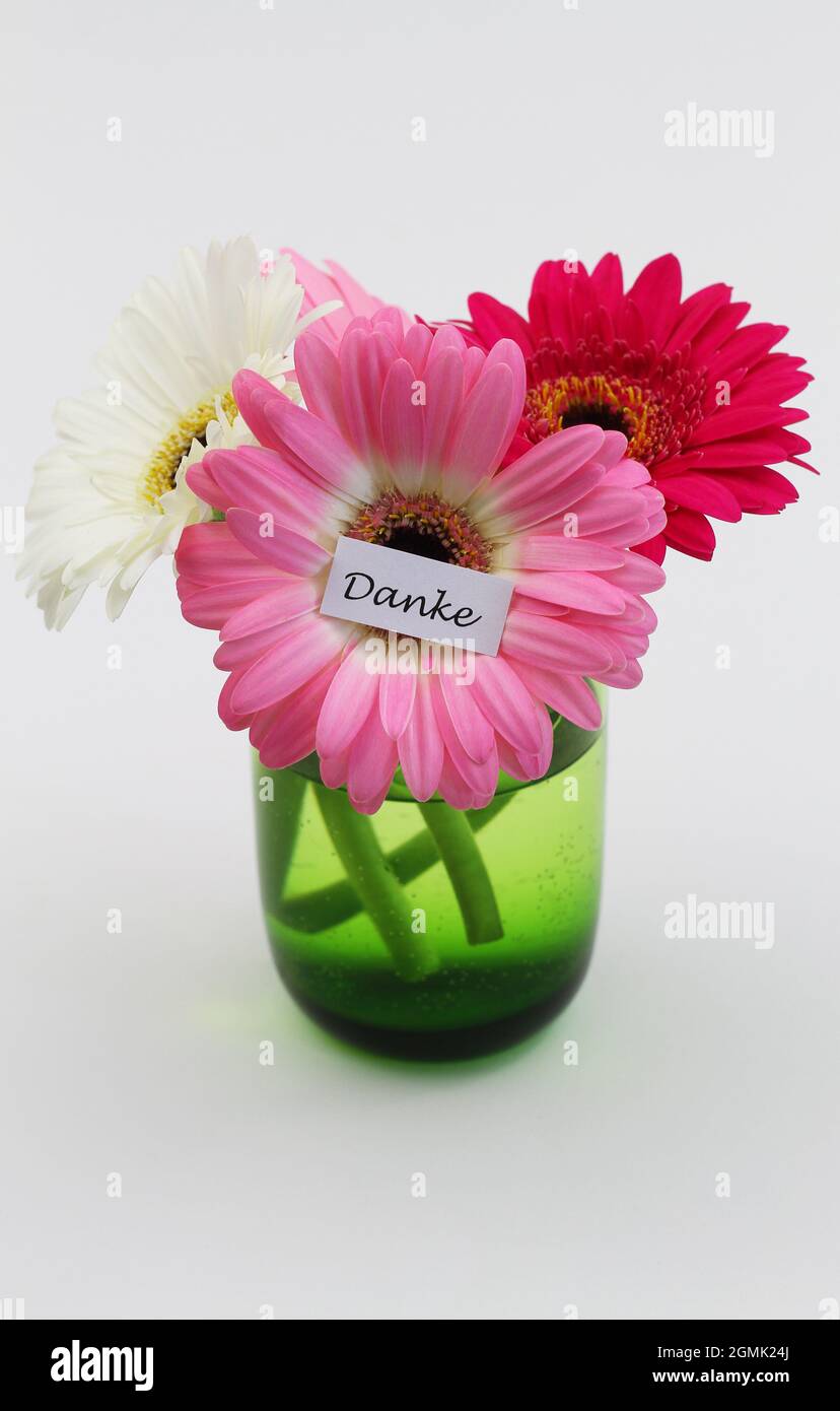Thank you flower hi-res stock photography and images - Alamy