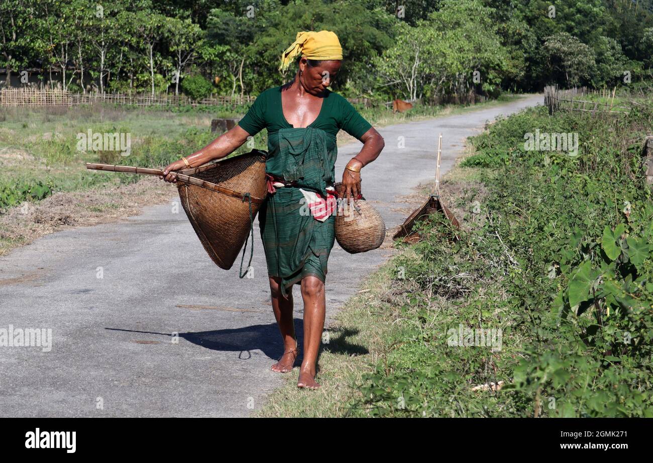 Bodo community women searching fish in a mud water field using ...