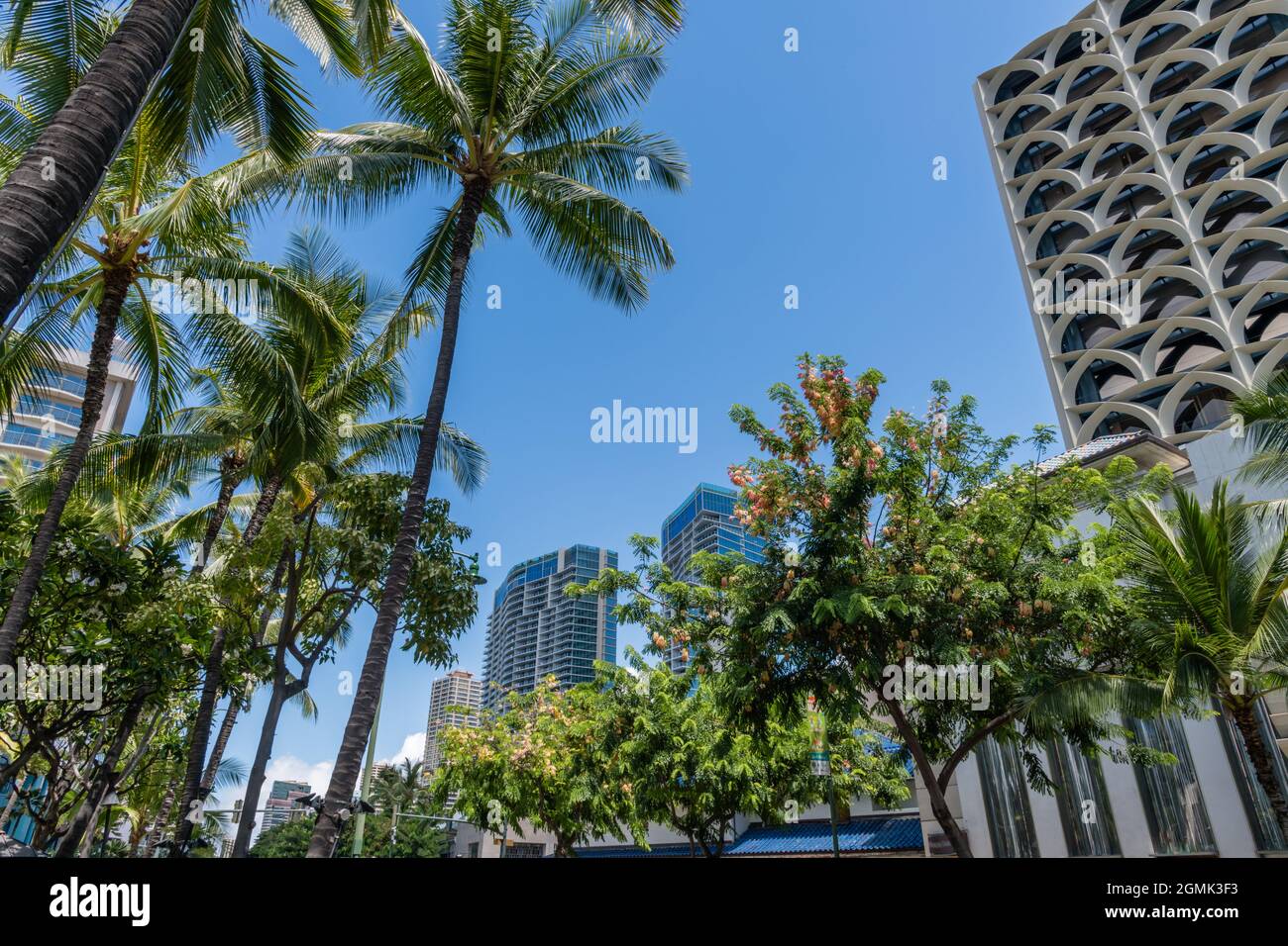 Waikiki beach oahu hawaii street hi-res stock photography and images ...
