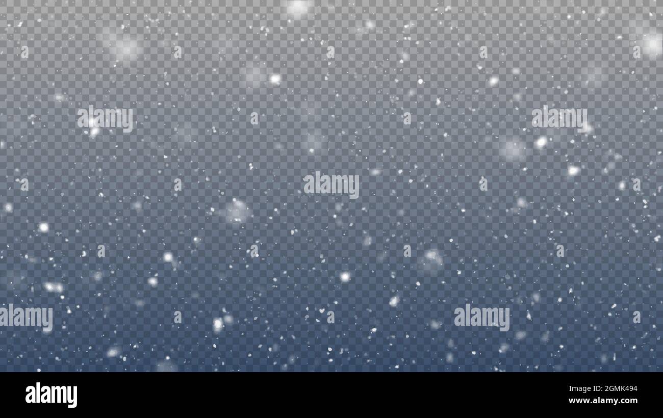 Vector snowfall isolated. Winter background. Snow overlay illustration ...