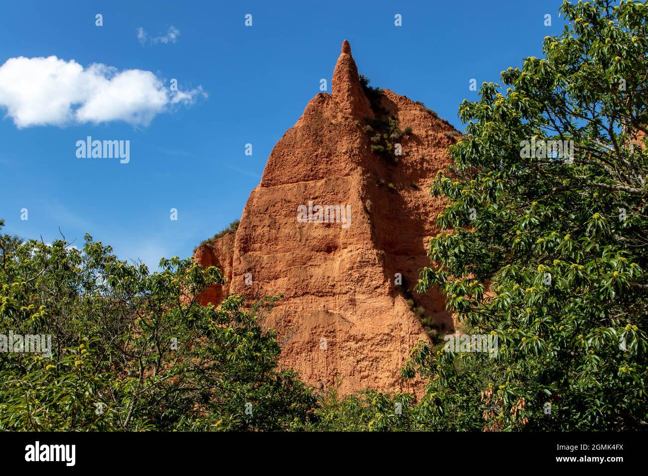 Bright red rock and chestnut trees at the Las Medulas historic gold ...
