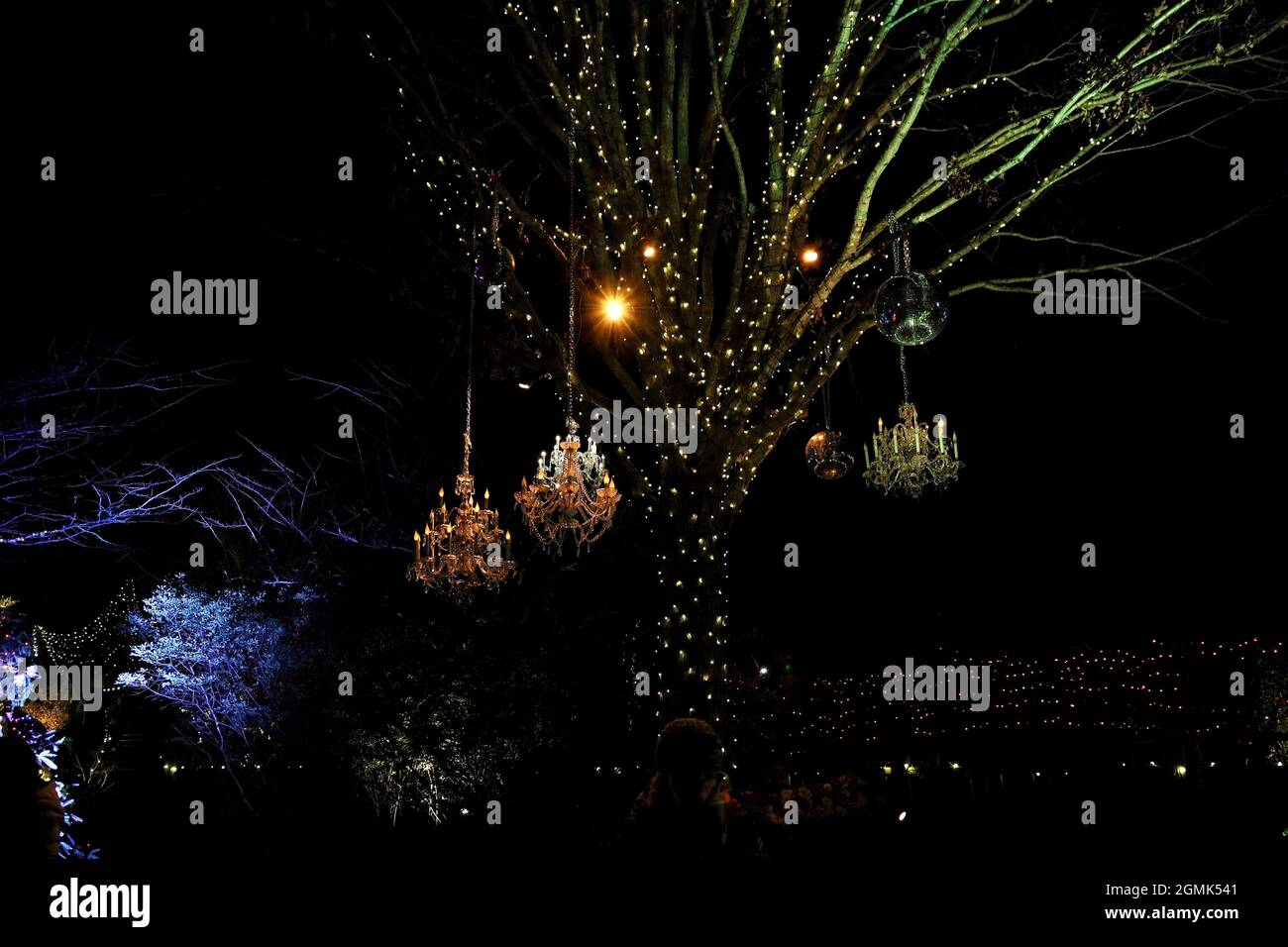 Christmas light display Stock Photo - Alamy
