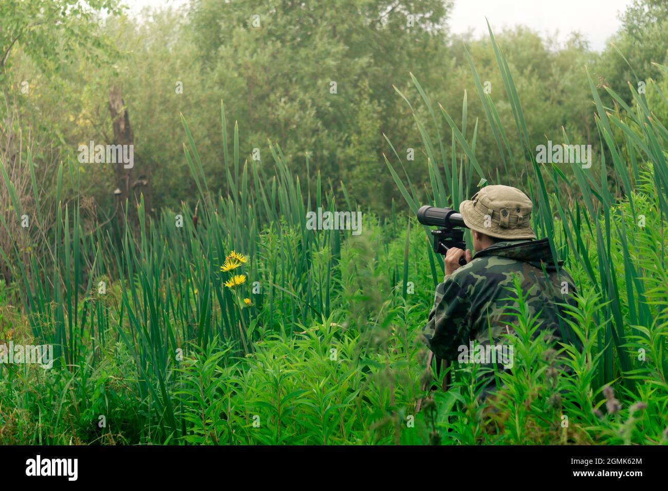 man wildlife researcher makes field observation with a spotting scope ...