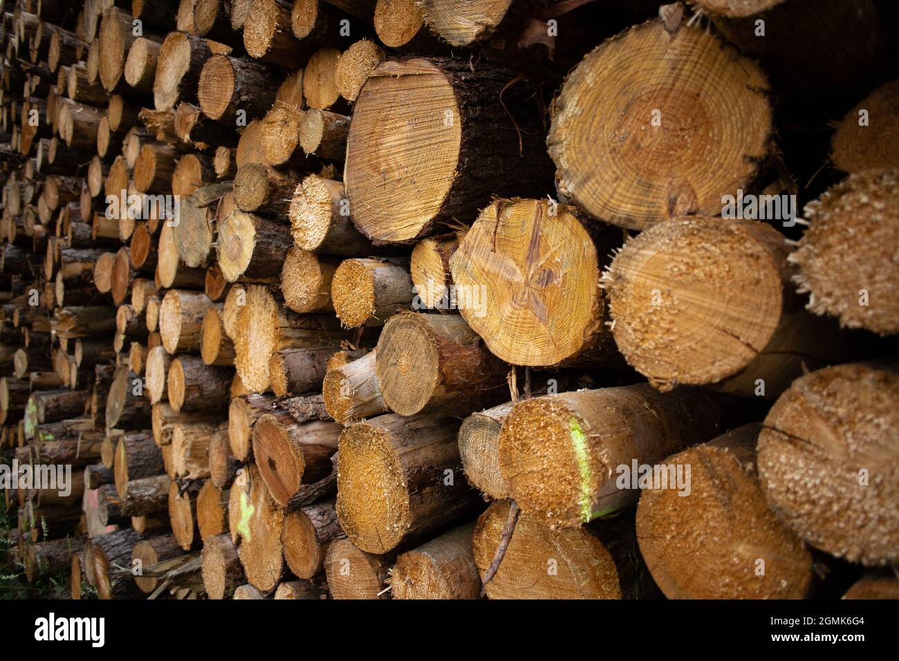 Timber structures hi-res stock photography and images - Alamy
