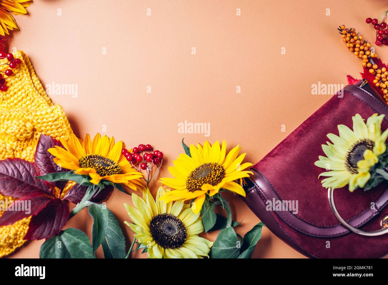 Burgundy purse hi-res stock photography and images - Alamy