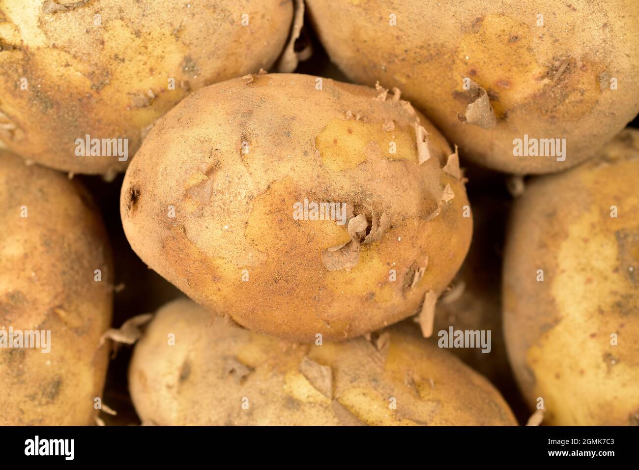 Top View of Potatoes Texture Background Stock Photo - Alamy