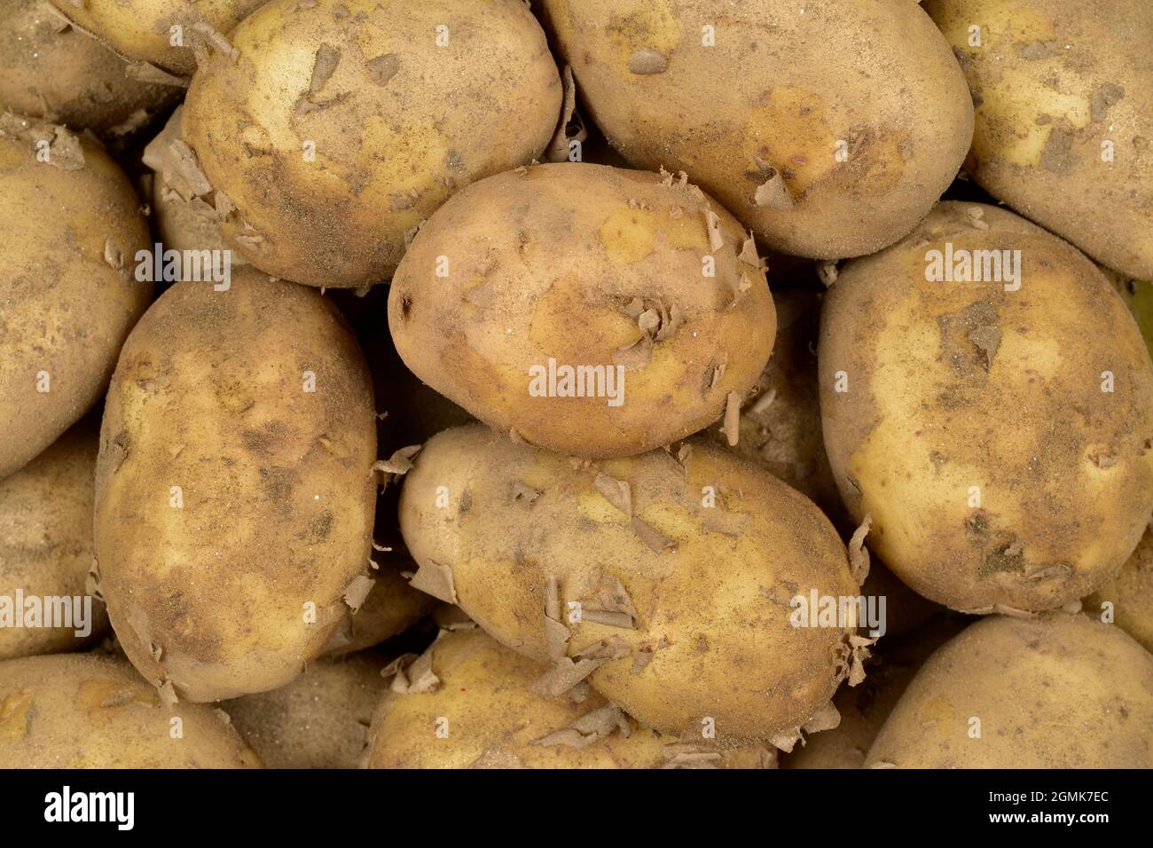 Top View of Dirty Potato, Texture of dirty raw potato texture Stock ...