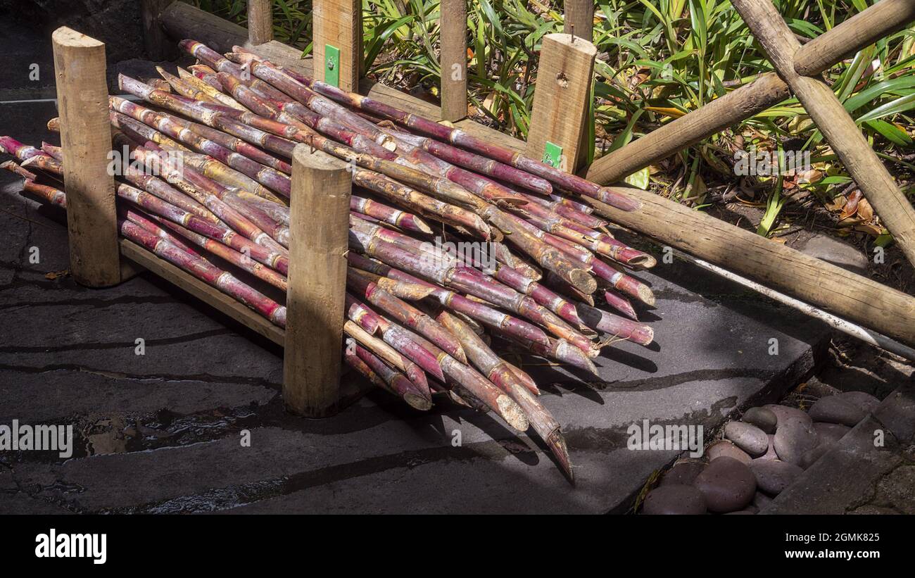 A heap of wooden sticks on black ground with railings near green grass ...