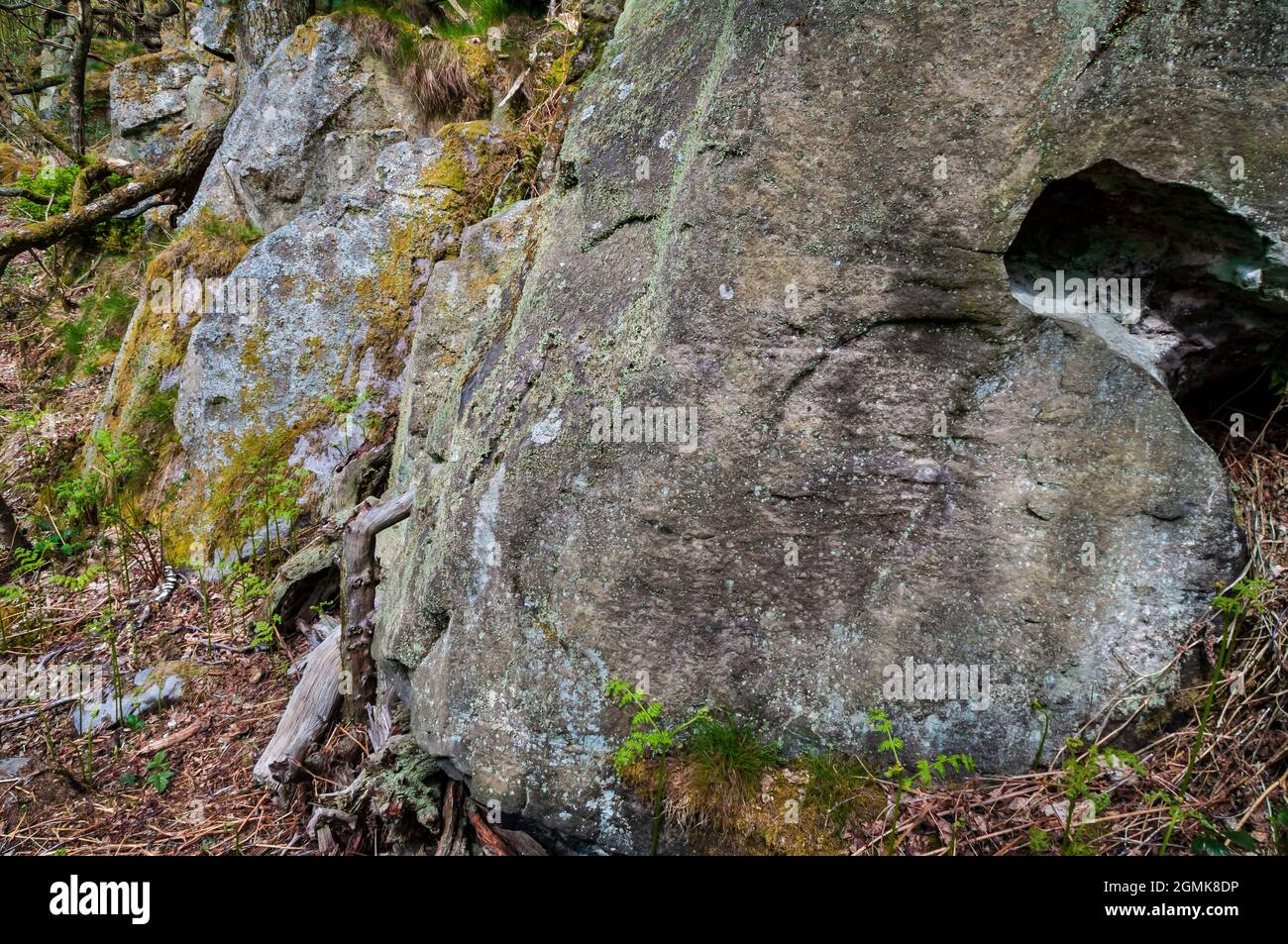 Wharncliffe wood hi-res stock photography and images - Alamy