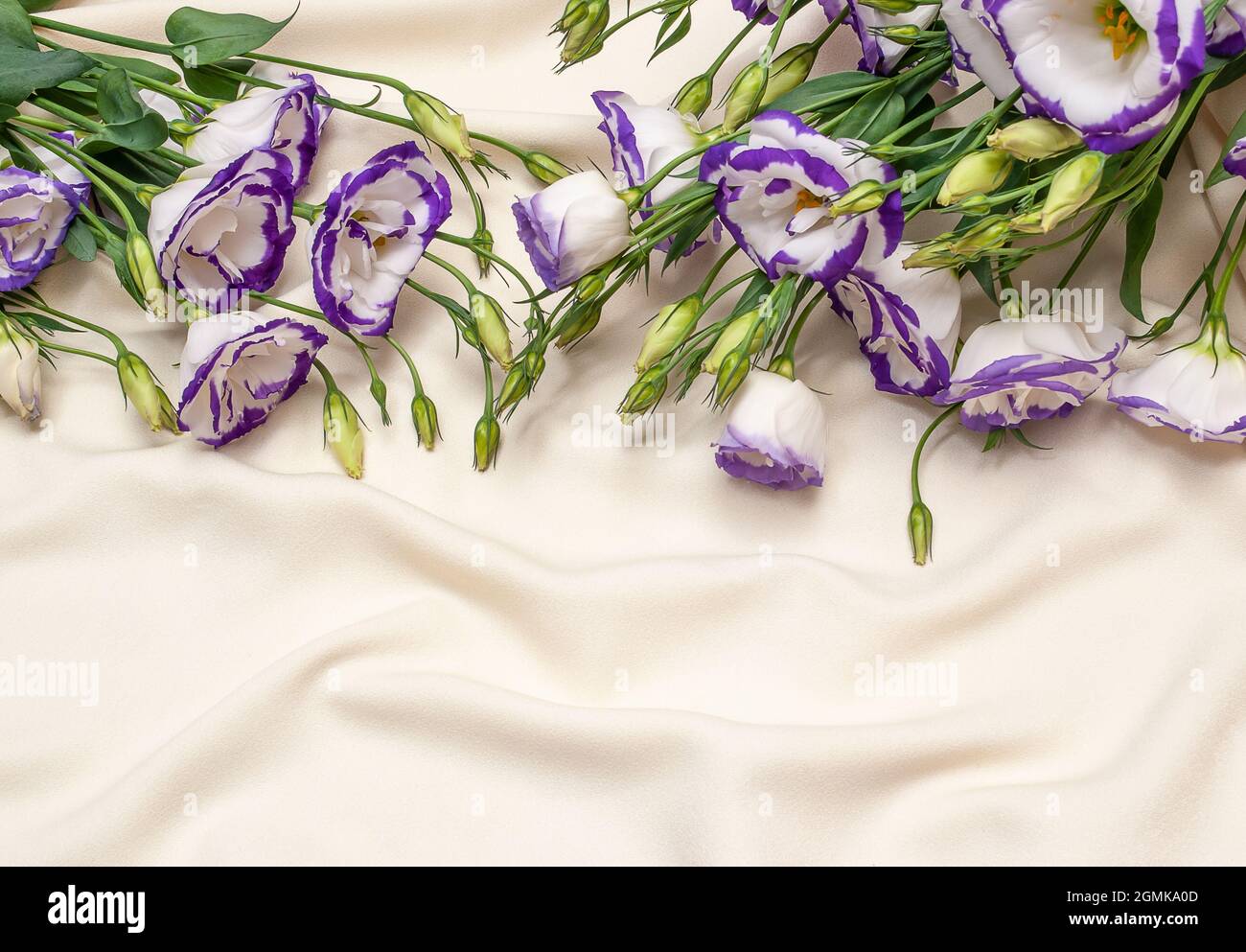 delicate blue flowers on an ivory fabric background Stock Photo - Alamy