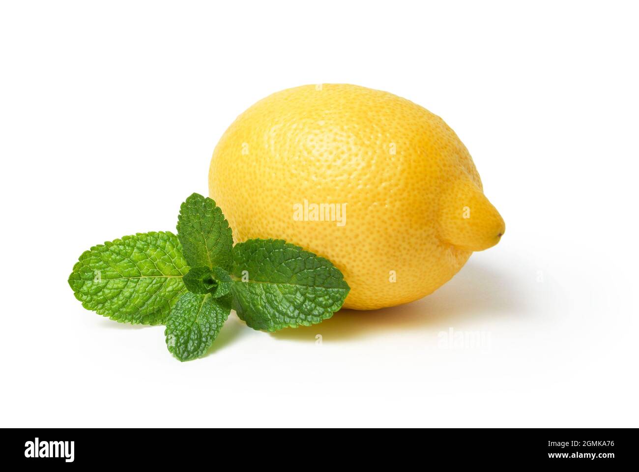 Lemon and mint isolated on white background Stock Photo - Alamy