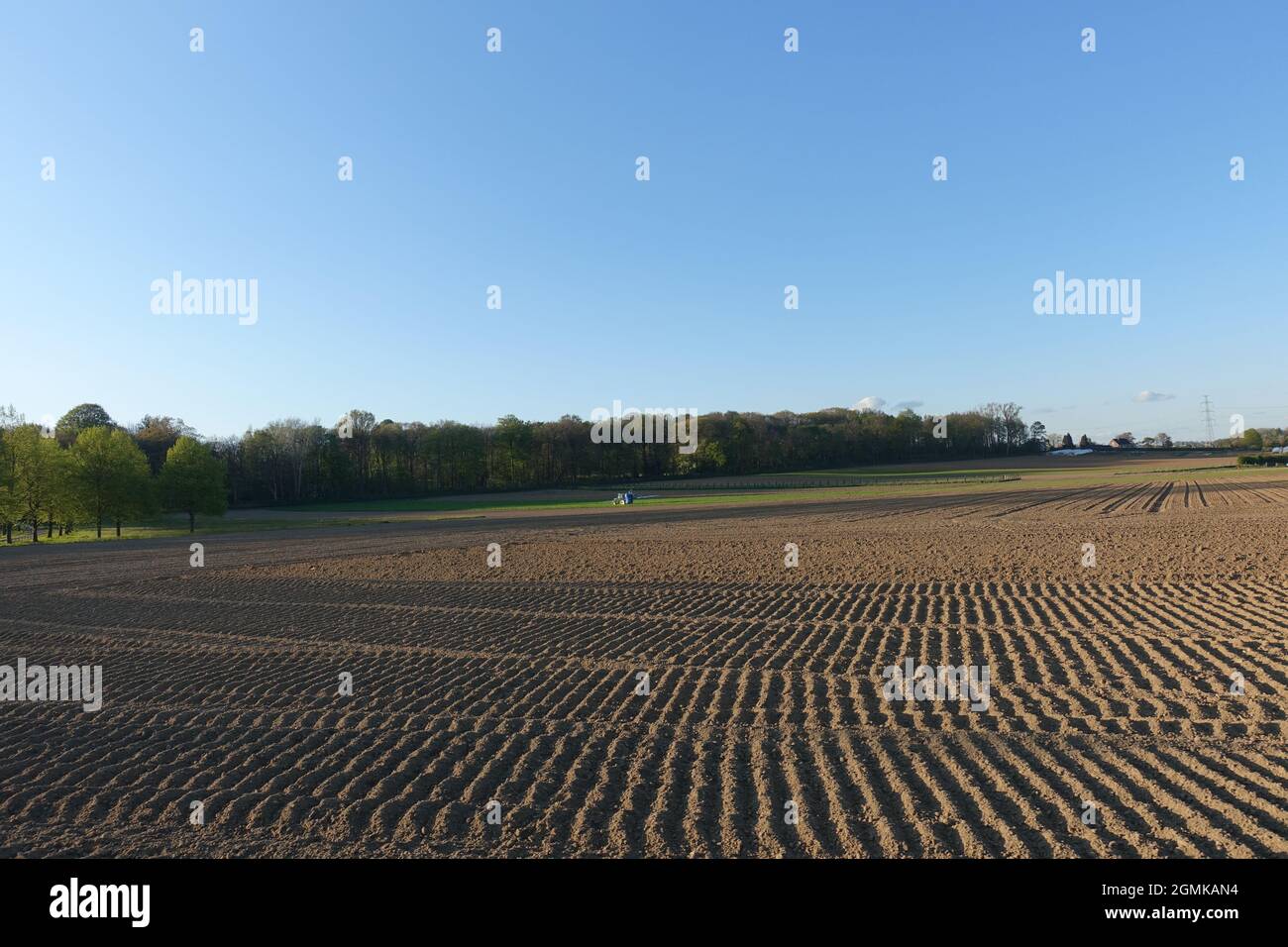 Seeded fields hi-res stock photography and images - Alamy