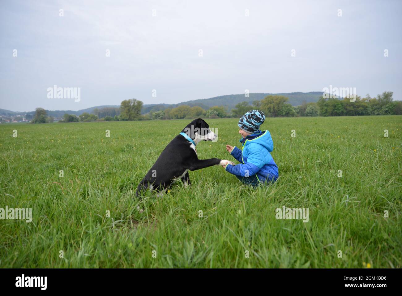 Boy and dog and trick hi-res stock photography and images - Alamy
