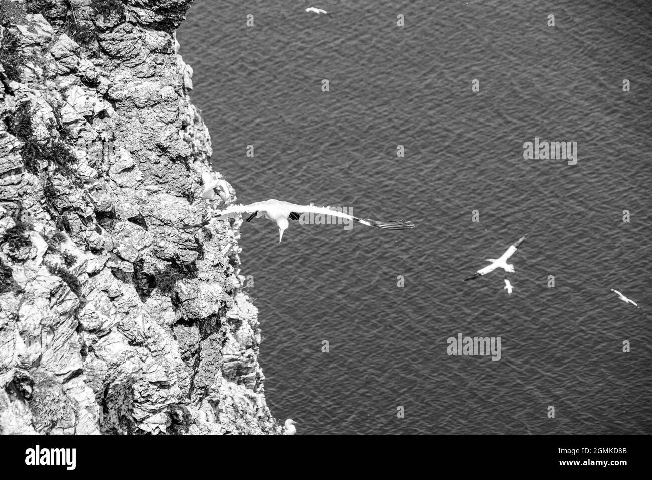 Blue sea cliffs wild Black and White Stock Photos & Images - Alamy