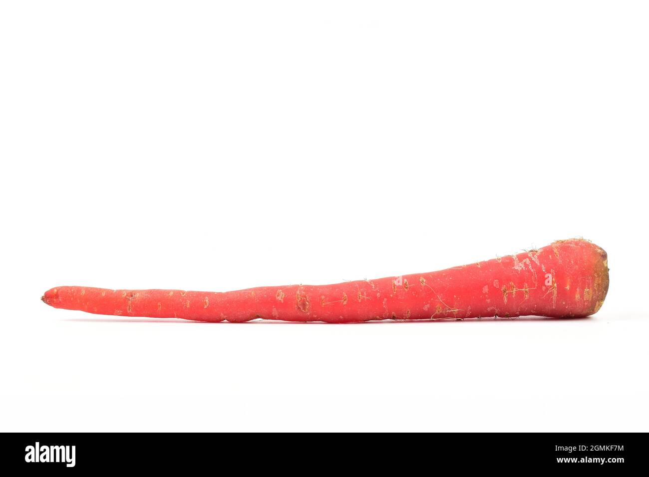 Red Carrot Isolated on White Background with Clipping Path Stock Photo ...