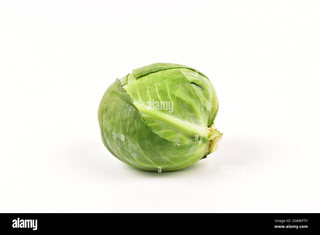 Cold Stored Cabbage Isolated on White Background Stock Photo - Alamy
