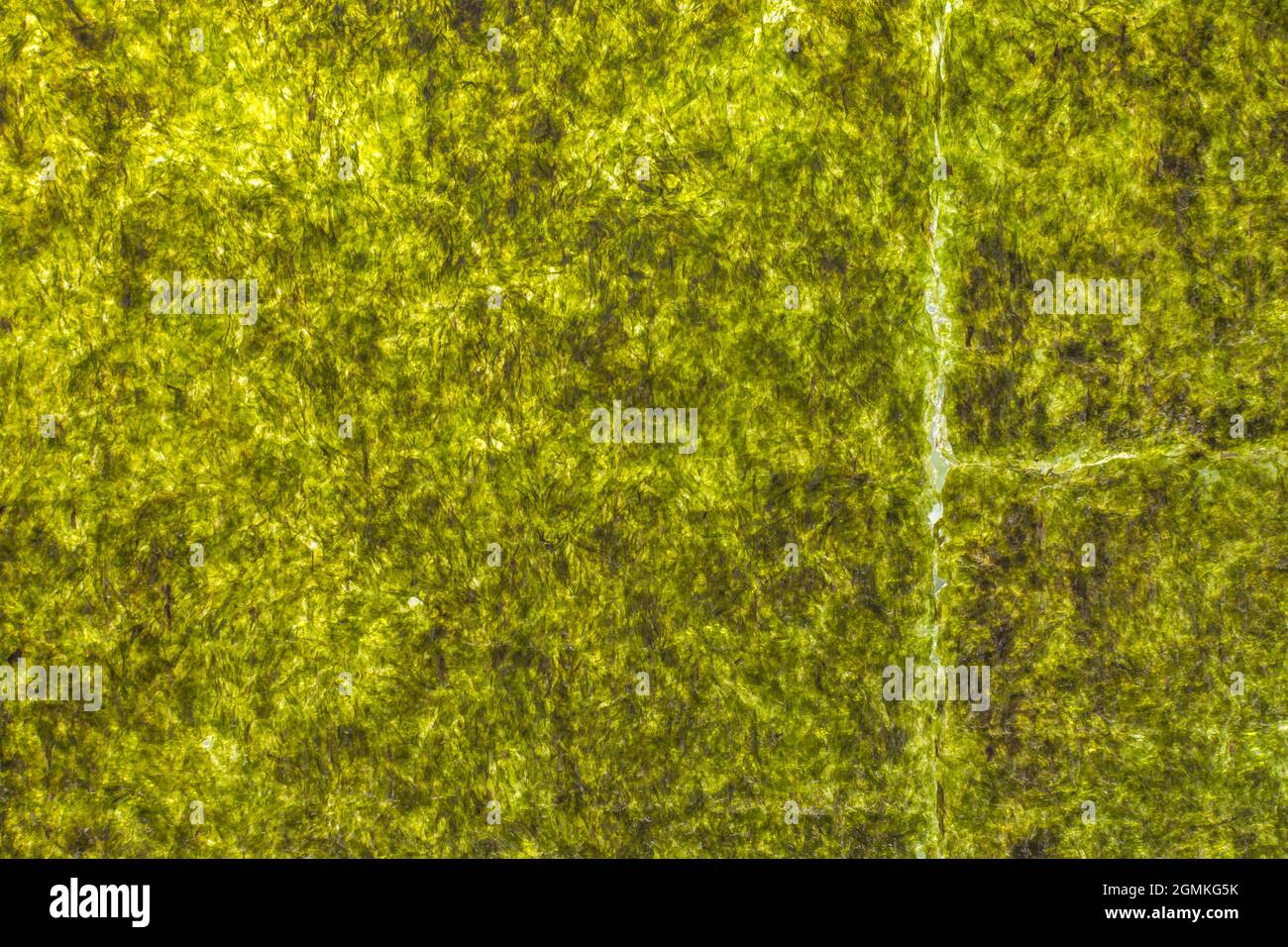 Pyropia yezoensis hi-res stock photography and images - Alamy